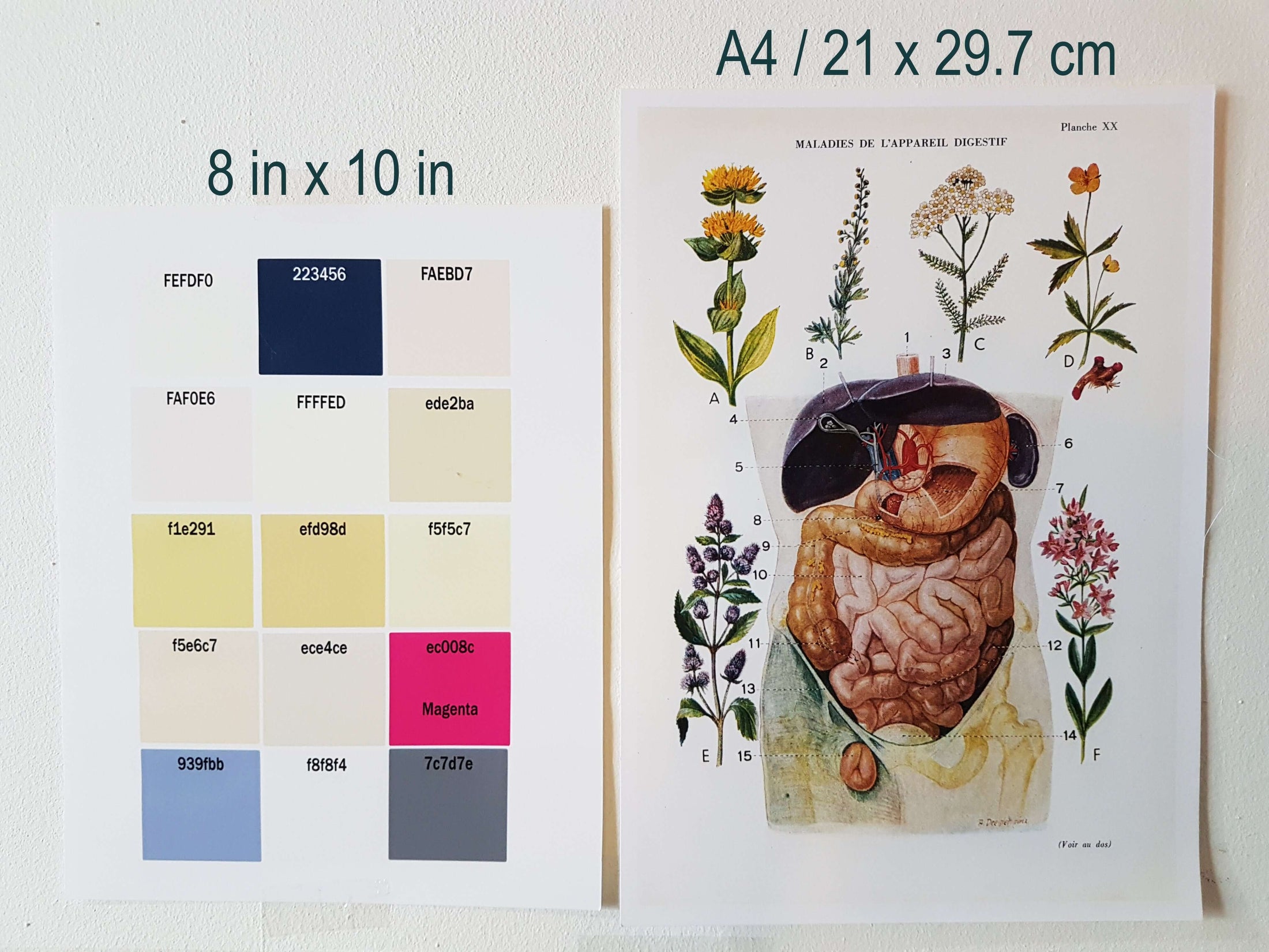 What is the difference between A4 and Letter? Paper sizes explained.