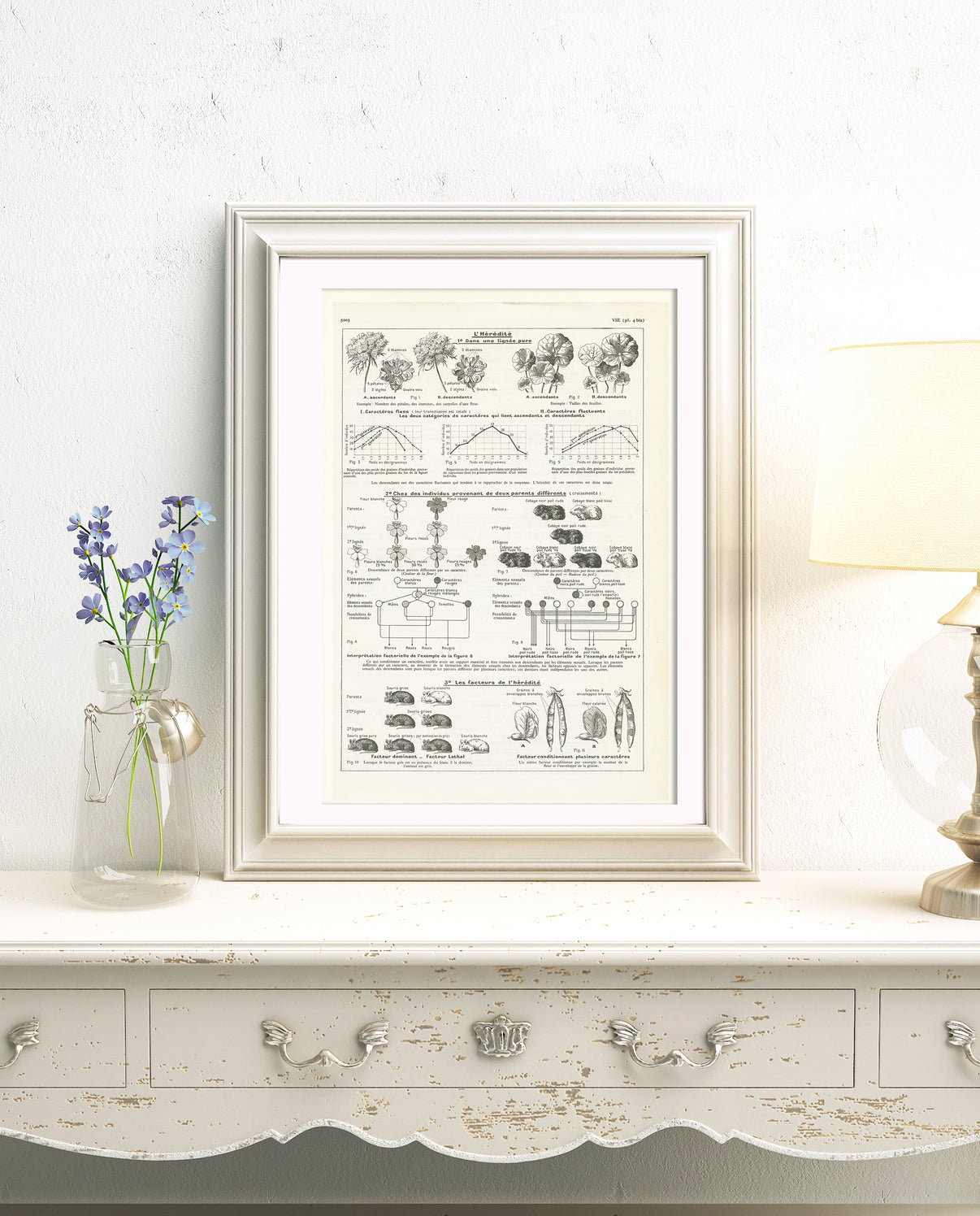 1938 Antique heredity & genetics biology print