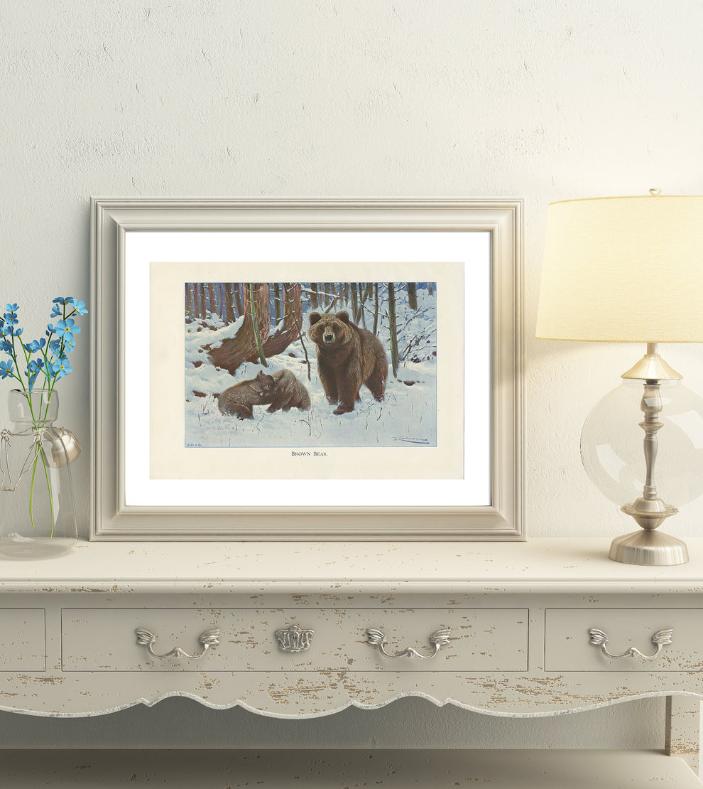 1916 Brown Bear poster with cubs