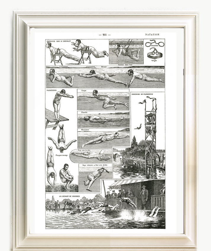 Swimming & diving poster with white background